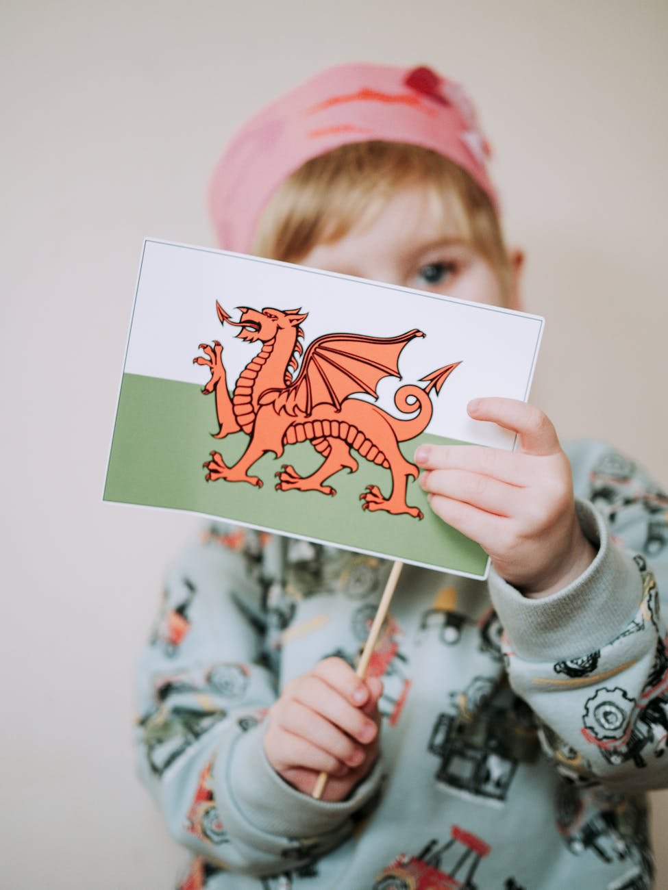 The Urdd Eisteddfod Welsh cultural festival Llandovery 2023 - The Good ...